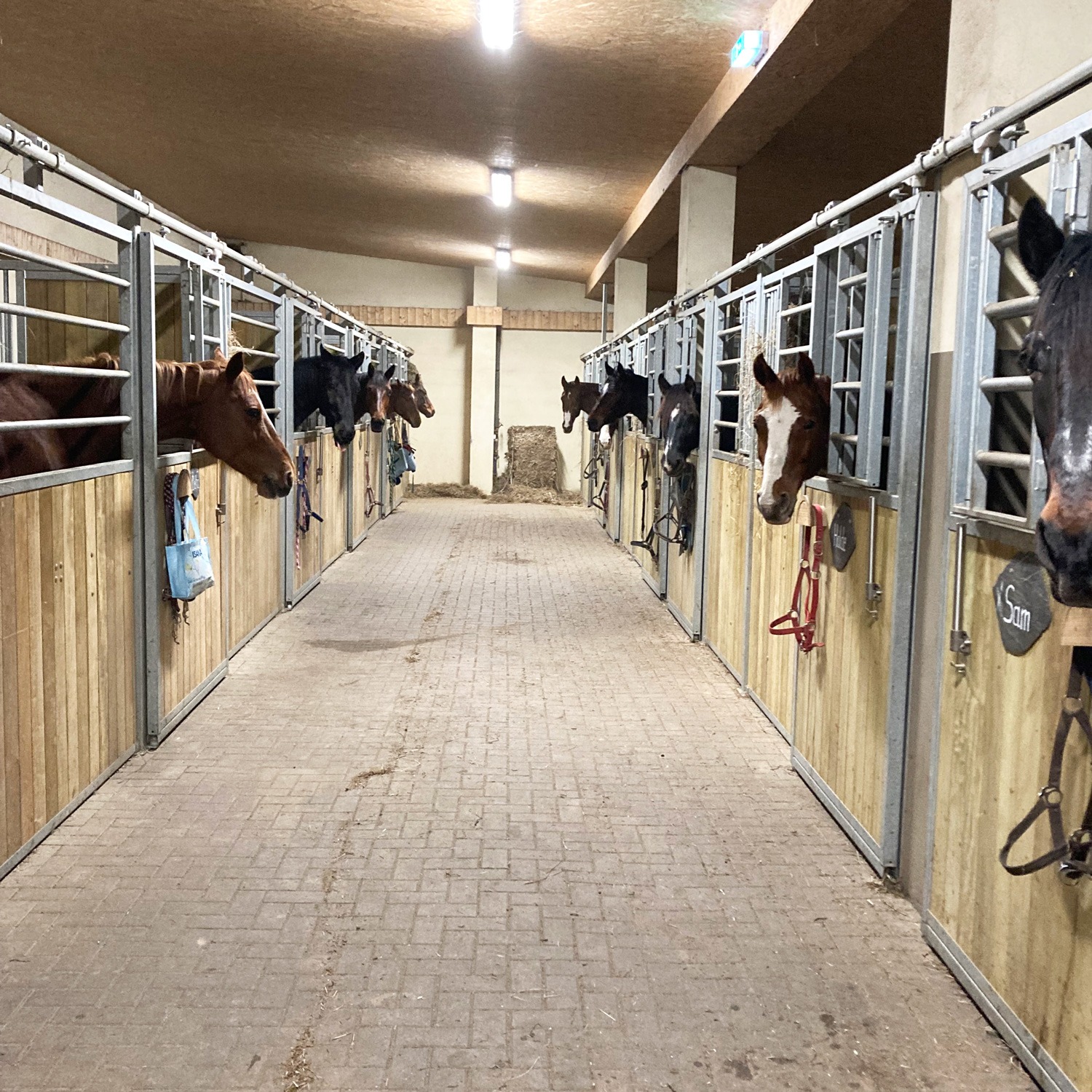 Willkommen im Stall - Reitstall Recht Frankenberg